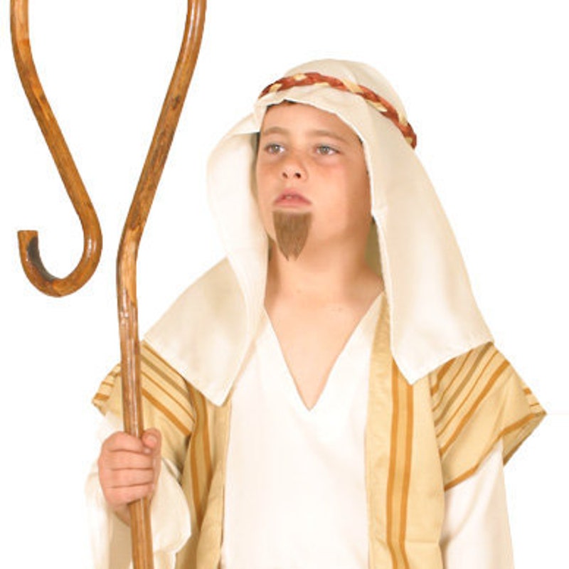Biblical David Costume - Etsy