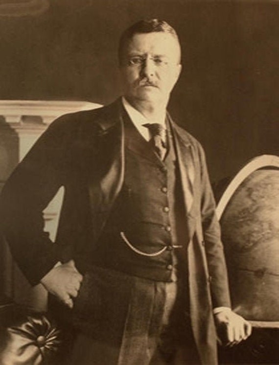 Disfraz De Theodore Roosevelt Teddy Roosevelt Costume