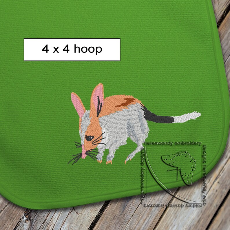 Bilby Bandicoot Machine Embroidery Design: Australian Animal (digital ...
