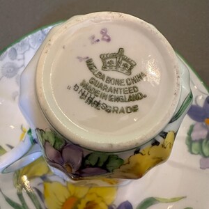 Melba Bone China Teacup and Saucer Spring - Daffodil & Violet Floral ...