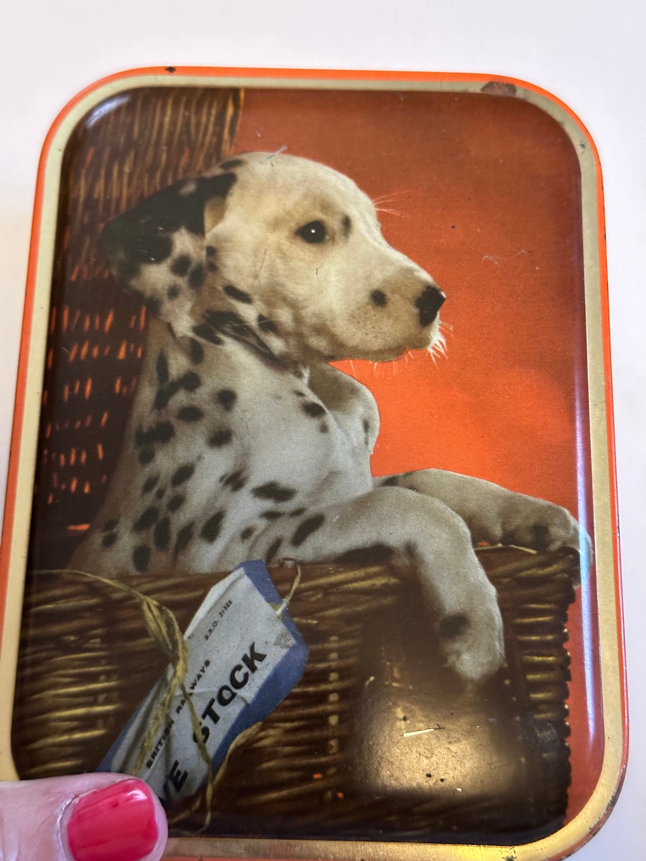 Vintage Sharps Toffee Dalmatian Dog Tin - Etsy