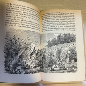 The Witch Family by Eleanor Estes 1960 Illustrated by Edward Ardizzone ...