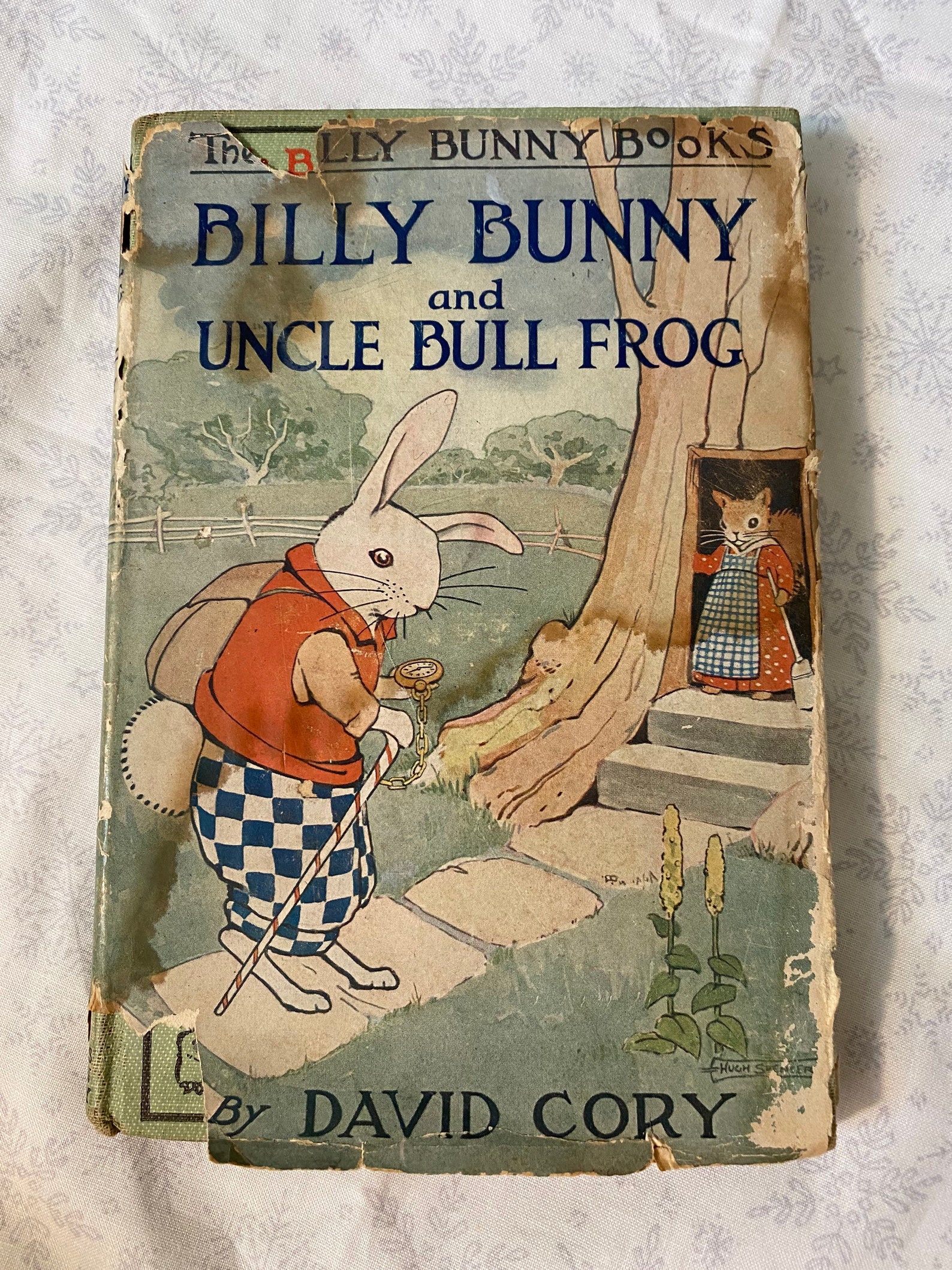 1920 Billy Bunny and Uncle Bull Frog Book by David Cory - Etsy