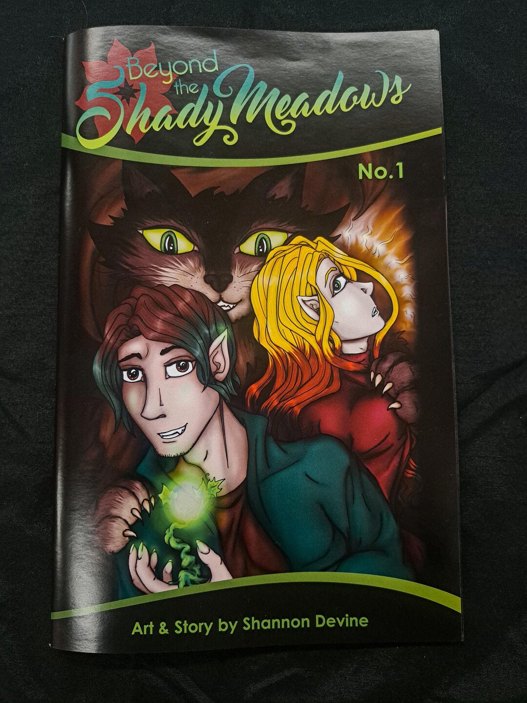 Beyond the Shady Meadows #01 Signed Printed Comic (2024) - Etsy