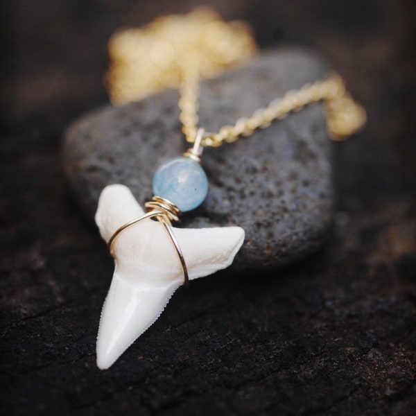 Shark Tooth Necklace - Etsy
