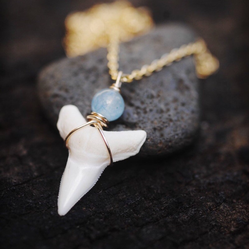 Shark Tooth Necklace - Etsy