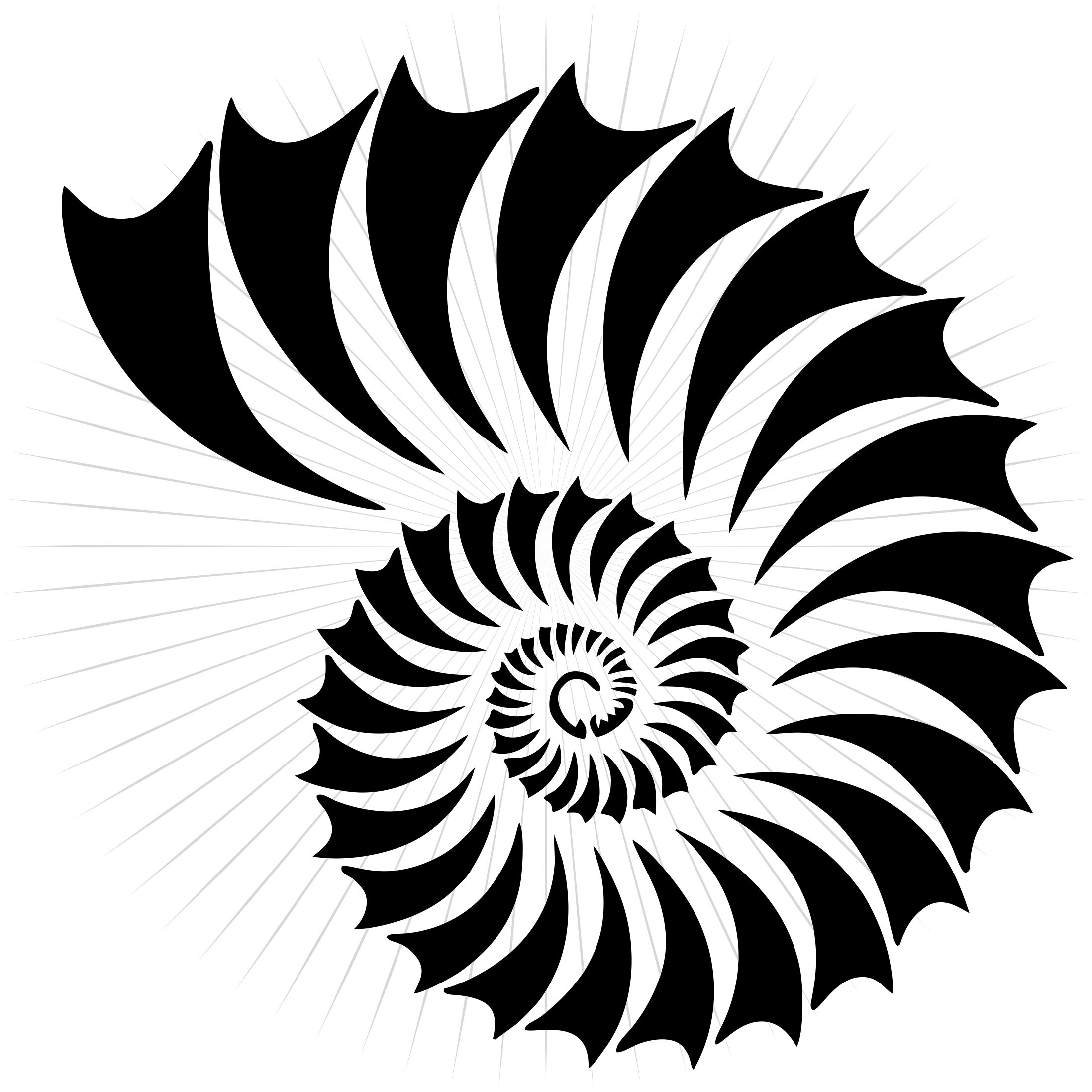 Nautilus Shell SVG Cut and Print PNG Clip Art for Cricut - Etsy Australia