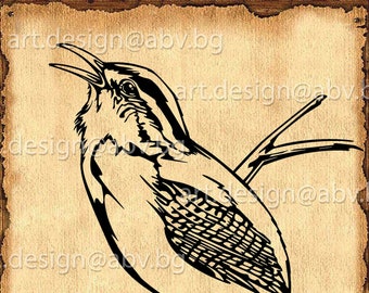 Wren Bird Vector Svg - Etsy
