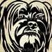 Vector DOG YORKIE POO Face, Ai, Png, Pdf, Eps, Svg, Dxf, Jpg Download ...