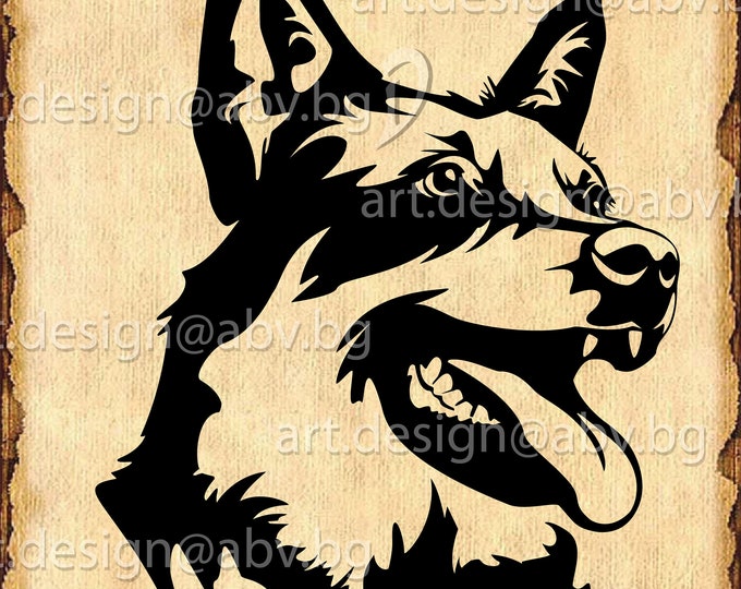 Vector DOG Blue Heeler Head AI Png Pdf Eps Svg Dxf Jpg - Etsy