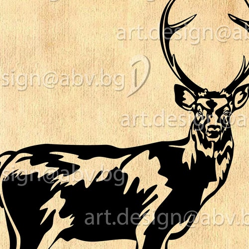 Vector SAMBAR STAG Deer Head AI Eps Pdf Svg Dxf Png - Etsy