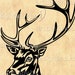 Vector WHITE TAIL STAG Deer Head Ai Eps Pdf Svg Dxf | Etsy