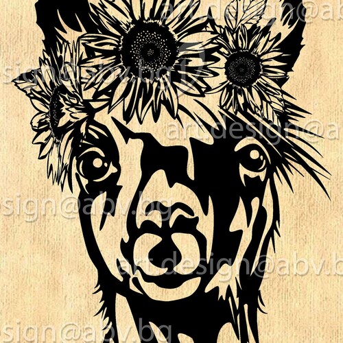 Alpaca SVG PNG JPG Digital Download Files - Etsy