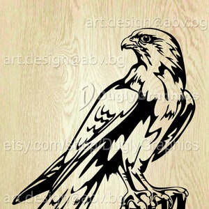 Vector FALCON, AI, Eps, Pdf, Svg, Dxf, Png, Jpg Download Files, Digital ...