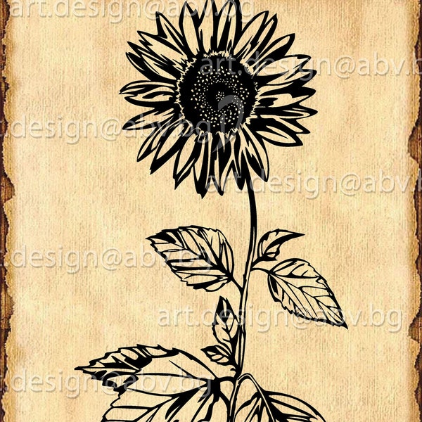 Sunflower With Stem SVG Files for Cricut Hand Drawn Spring - Etsy Canada