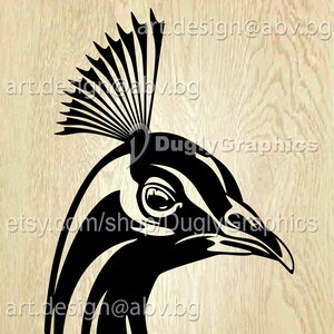 Vector PEACOCK, Bird Head, AI, PNG, Eps, Pdf, Svg, Dxf, Jpg Download ...