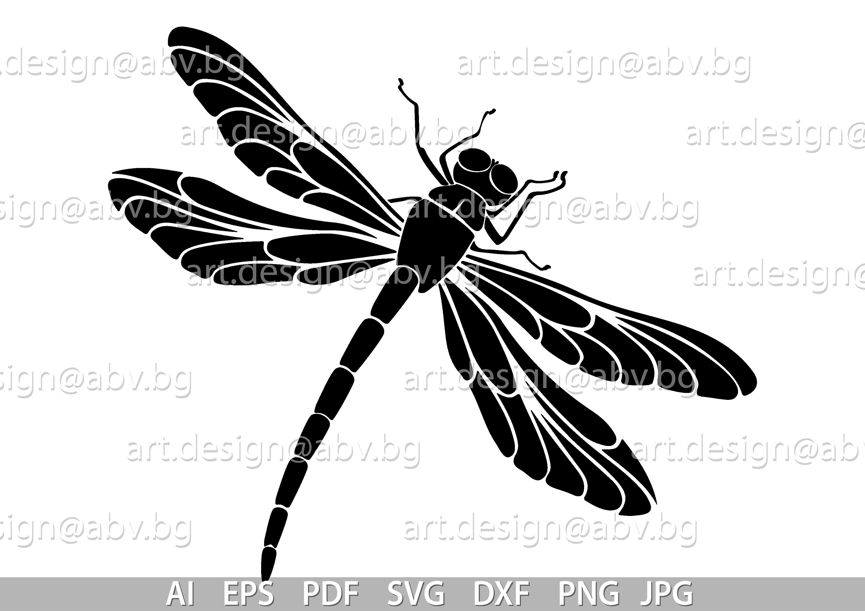 Dragonfly Vector