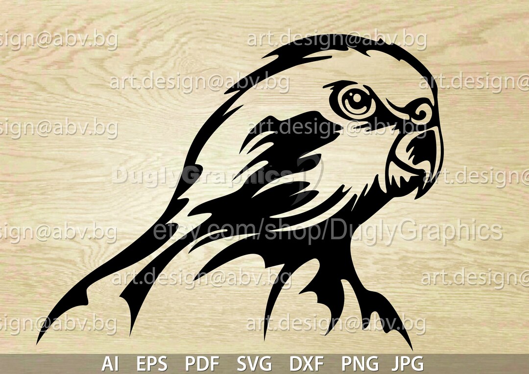 Vector PARROT Head AI Eps Pdf SVG Dxf Png Jpg Download Digital Image ...