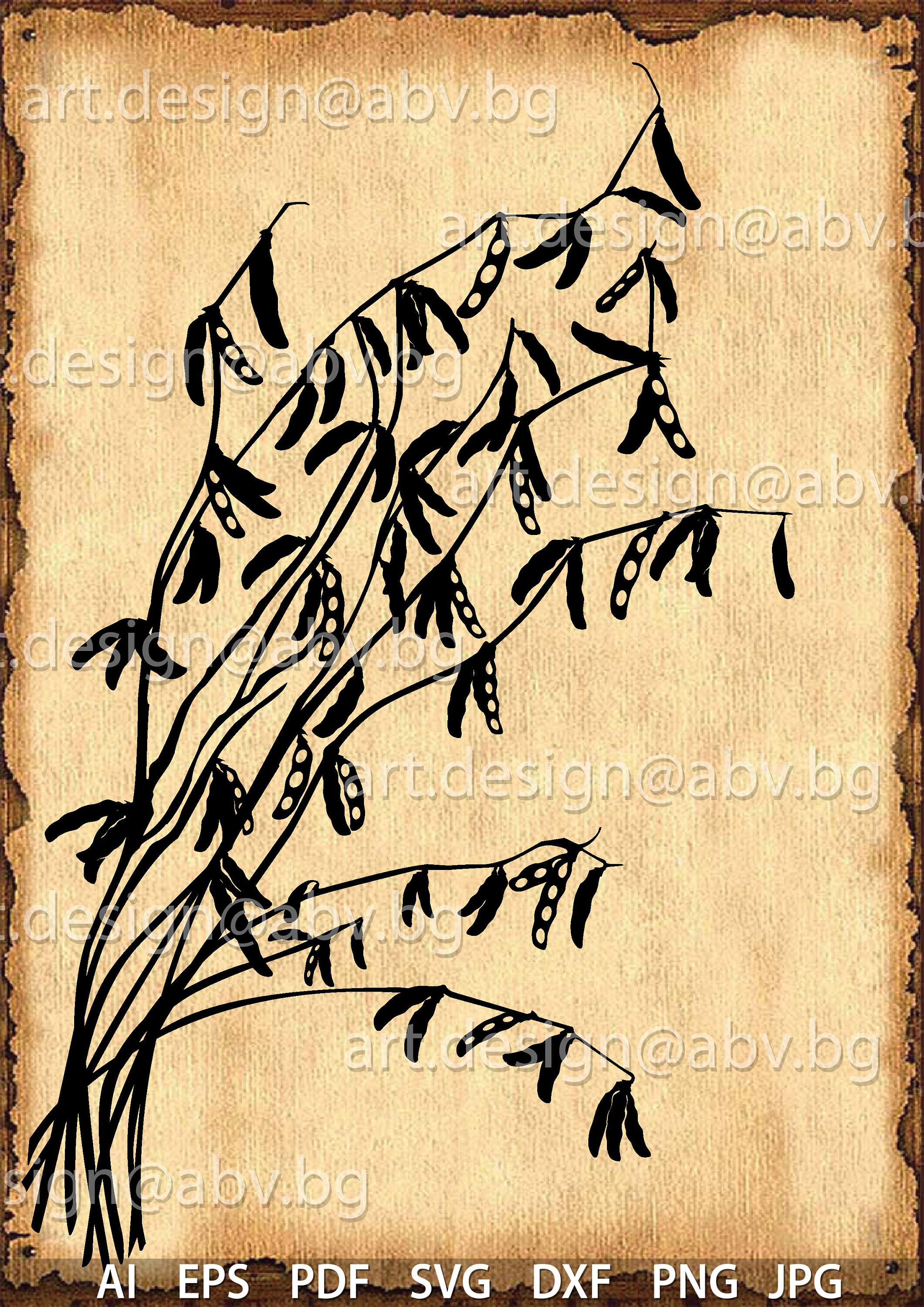 Vector SOYBEAN PODS AI Eps Png Pdf Svg Dxf Jpg - Etsy Australia