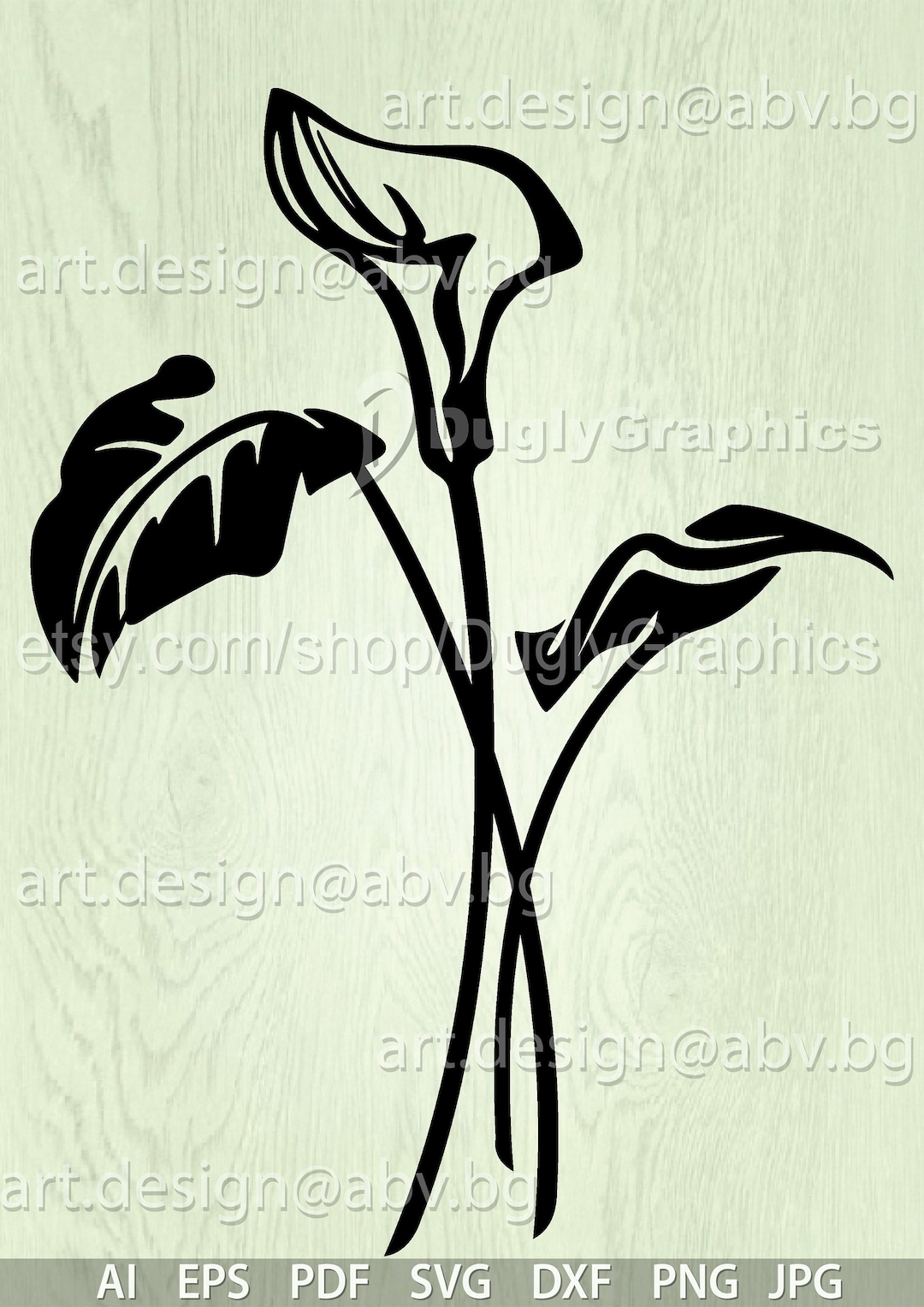 Vector CALLA Flower, AI, Eps, Pdf, Png, Svg, Dxf, Jpg Download Digital ...