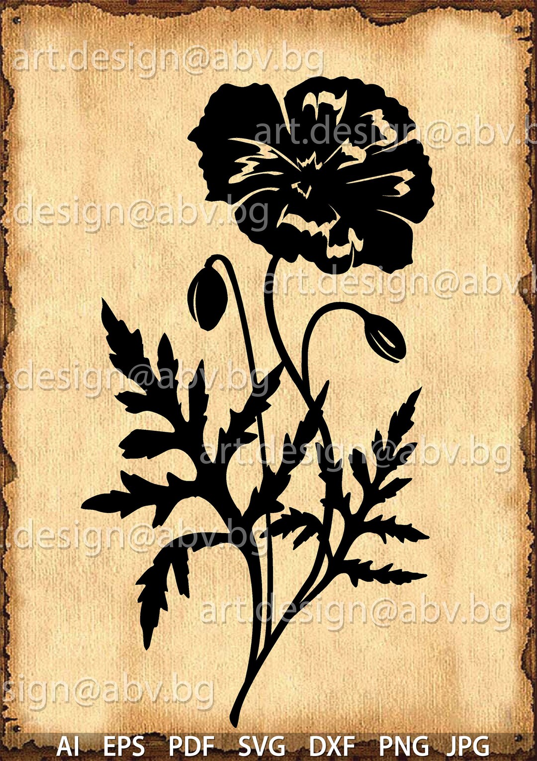 Vector FLORA, Poppy, AI, Eps, Png, Pdf, Svg, Dxf, Jpg Download, Digital ...
