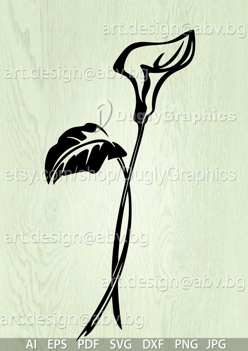 Vector CALLA Flower, AI, Eps, Pdf, Png, Svg, Dxf, Jpg Download Digital ...