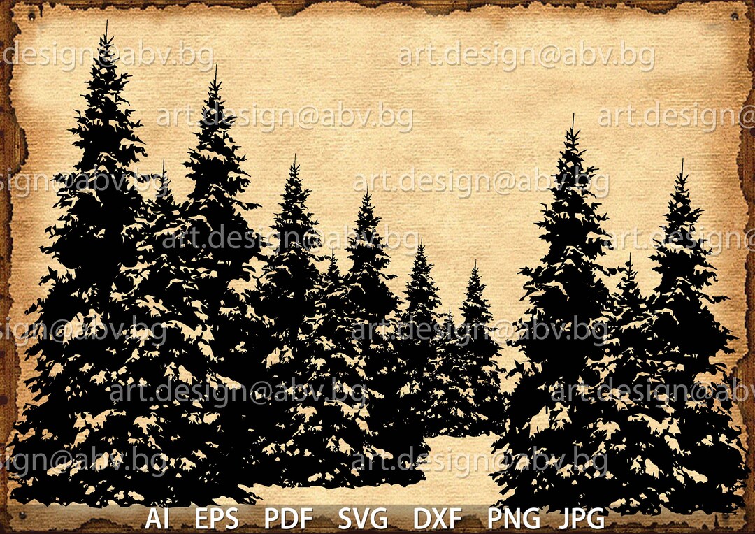Vector CONIFERS Evergreen AI PNG Eps Pdf Svg Dxf Jpg - Etsy