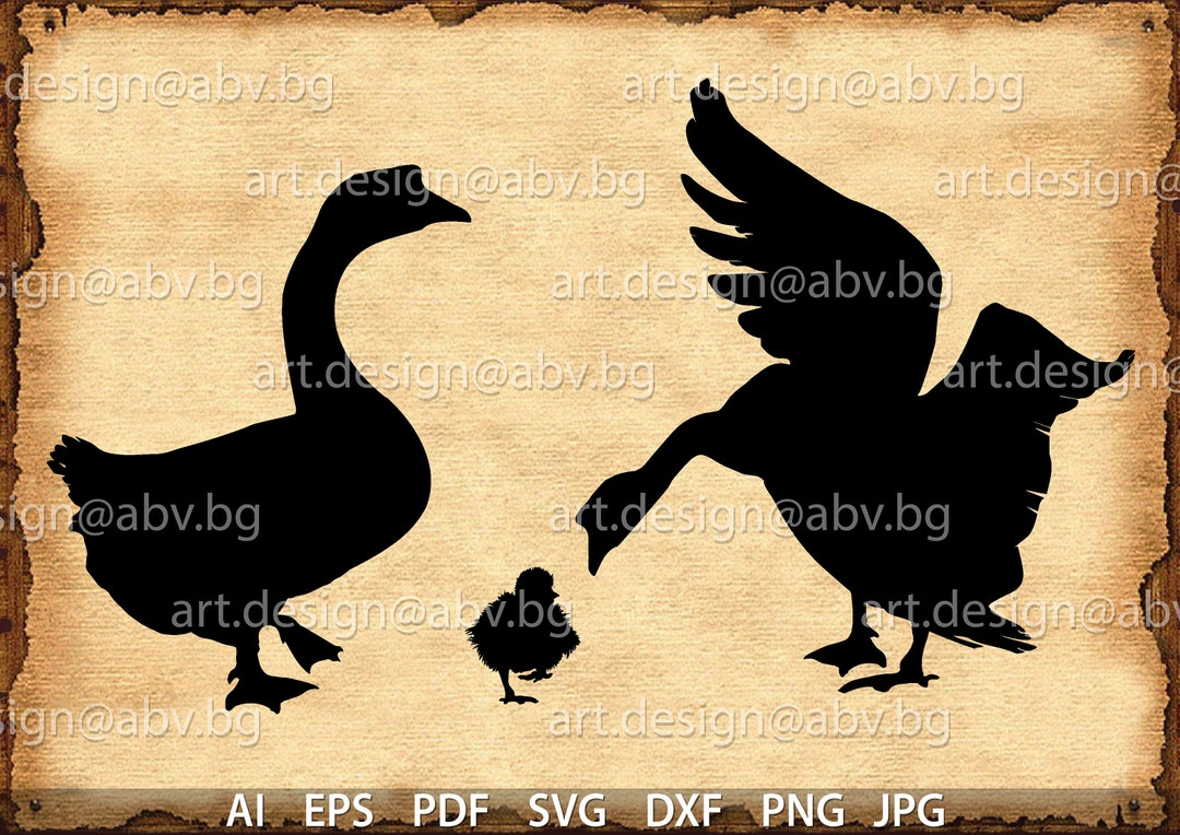 Vector GEESE, AI, Eps, Pdf, Png, Svg, Dxf, Jpg Image Graphic Digital ...