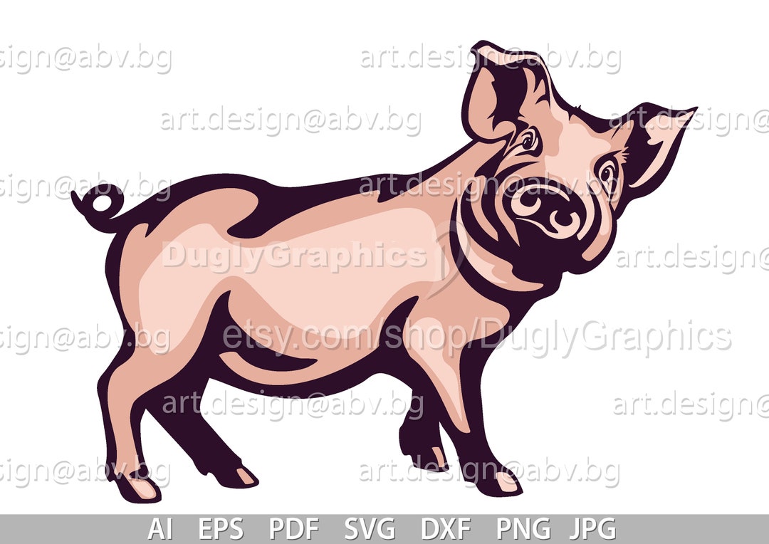 Vector PIG, AI, PNG, Eps, Pdf, Svg, Dxf, Jpg Download, Digital Image ...