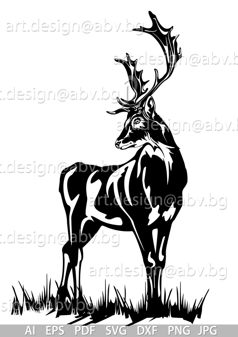 Vector FALLOW DEER Body, AI, Eps, Pdf, Svg, Dxf, Png, Jpg Download ...