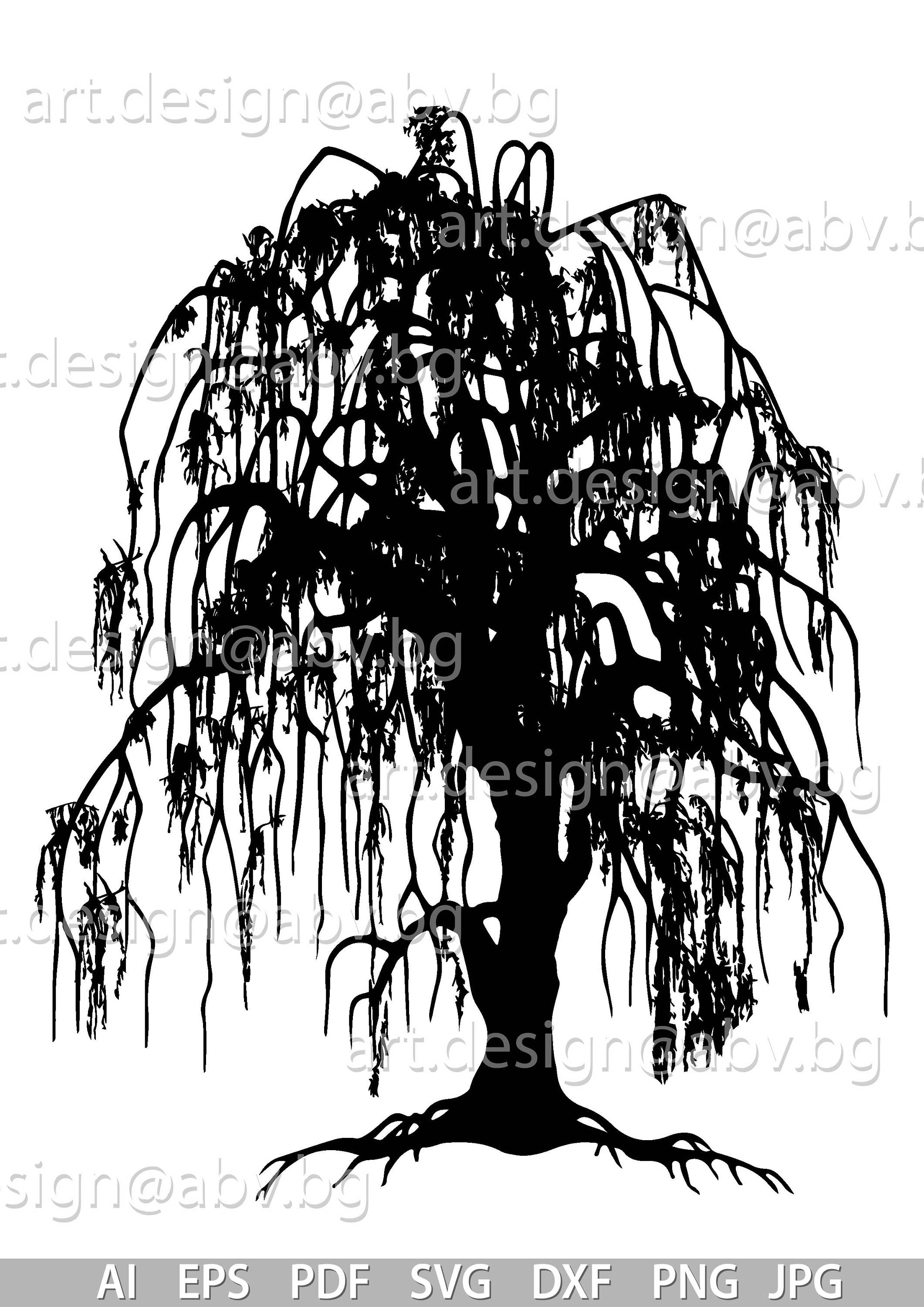Vector Weeping WILLOW /salix Babylonica/ Tree AI Eps Pdf | Etsy