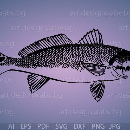 Vector RED FISH FIN Drawing Ai Eps Pdf Png Svg Dxf Jpg - Etsy