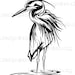 Vector HERON, Heaven Bird, AI, PNG, Eps, Pdf, Svg, Dxf, Jpg Download ...