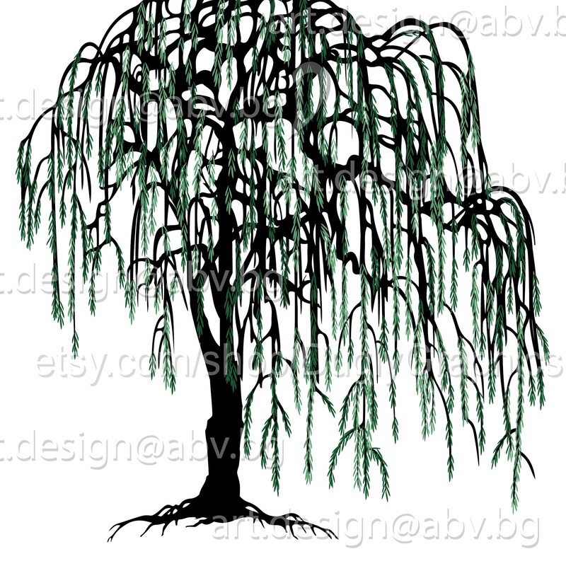 Willow Tree Design - Etsy