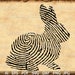 Vector RABBIT AI Eps PNG Pdf Svg Dxf Jpg Download - Etsy