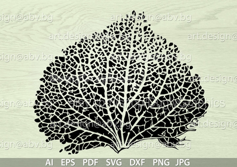 Vector LEAF Veins AI Eps Pdf PNG Svg Dxf Jpg Image - Etsy