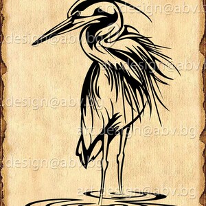 Vector HERON, Heaven Bird, AI, PNG, Eps, Pdf, Svg, Dxf, Jpg Download ...