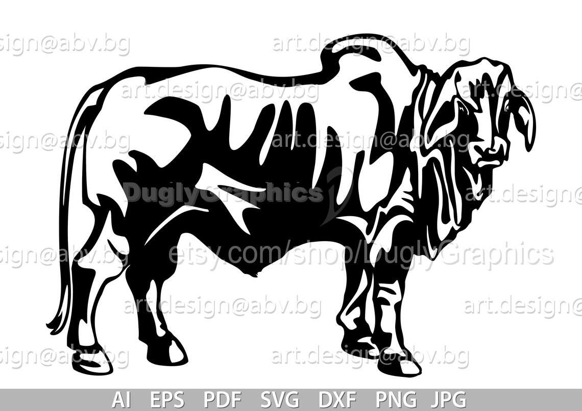 Vector COW Brahman Body AI PNG Eps Pdf Svg Dxf Jpg - Etsy