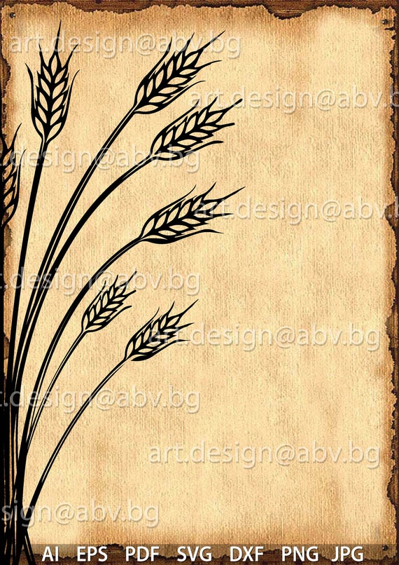 Vector GRAIN GRADE Ai Eps Pdf SVG Dxf Png Jpg Download | Etsy