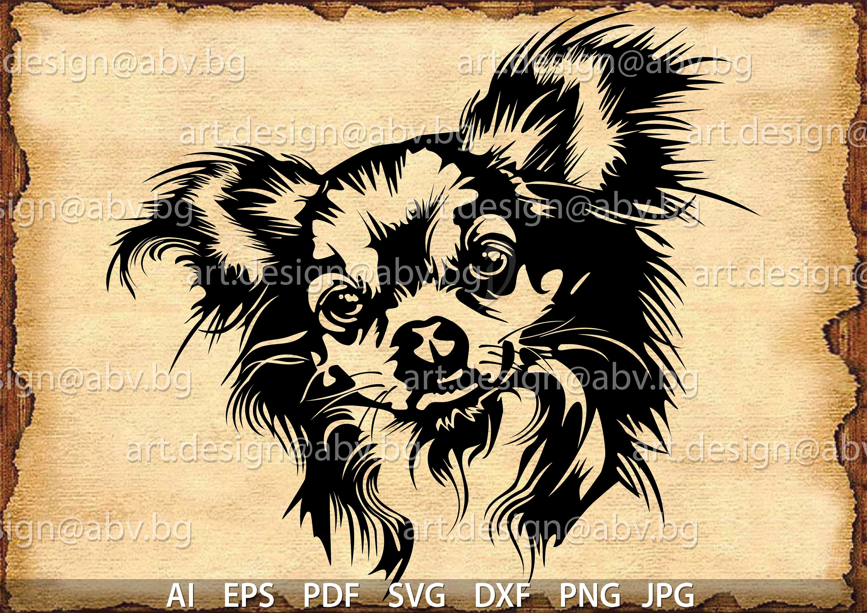 Vector CHIHUAHUA long hair dog SVG AI png pdf eps dxf | Etsy
