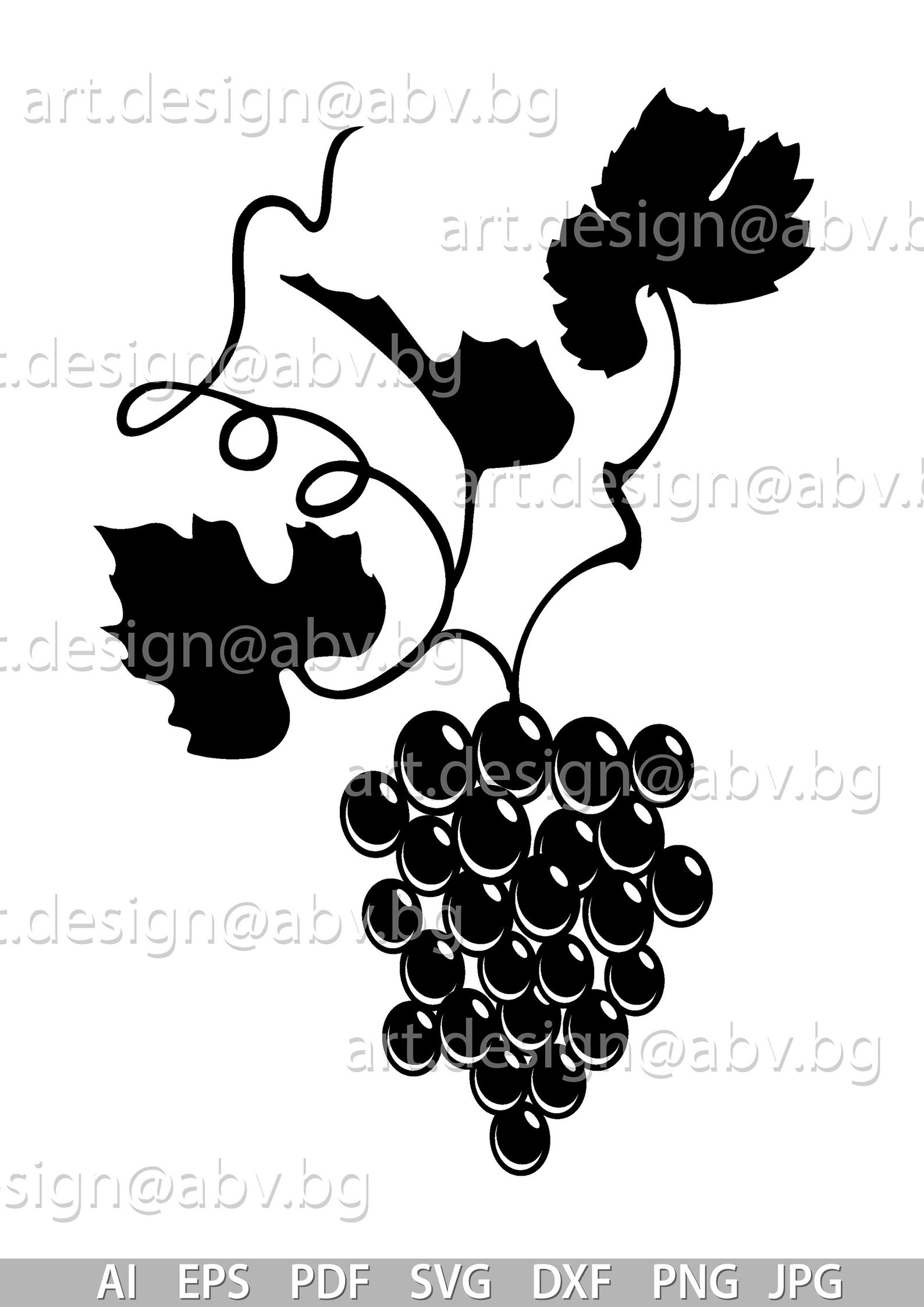 Vector GRAPE Vine AI Eps Pdf Svg Dxf Png Jpg Download - Etsy