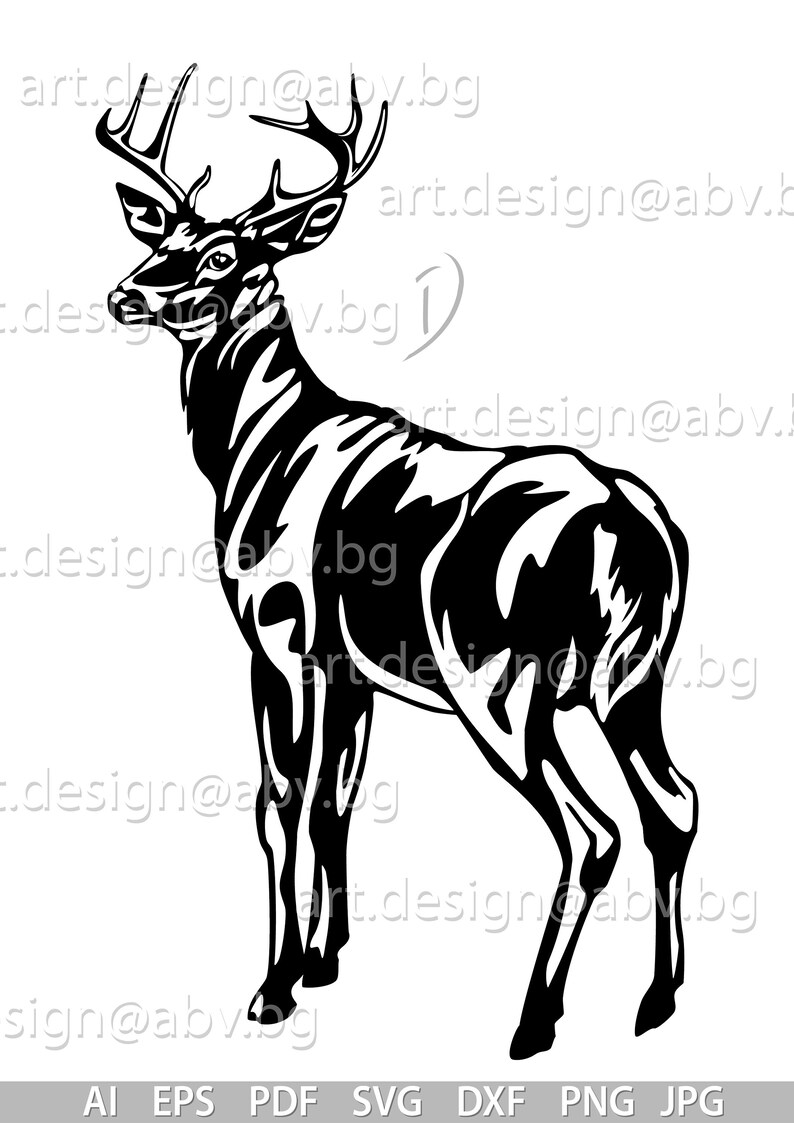 Vector WHITE TAIL STAG Deer Body Ai Eps Pdf Svg Dxf - Etsy