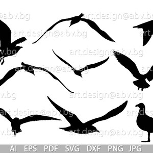 Vector BIRDS, Seagull, Ai, Eps, SVG, Pdf, Dxf, Png, Jpg Download ...