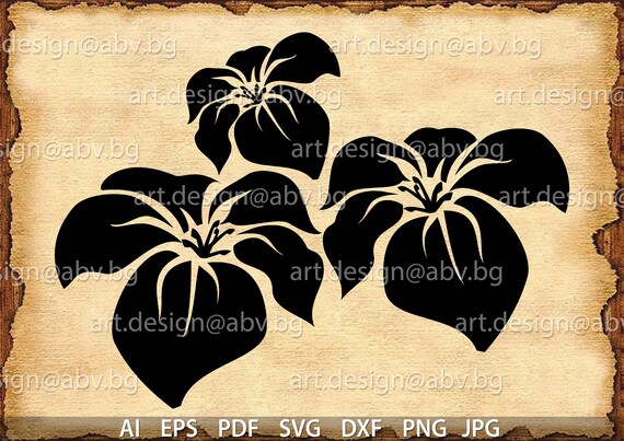 Vector FLOWERS AI Eps Pdf SVG Dxf Png Jpg Download | Etsy