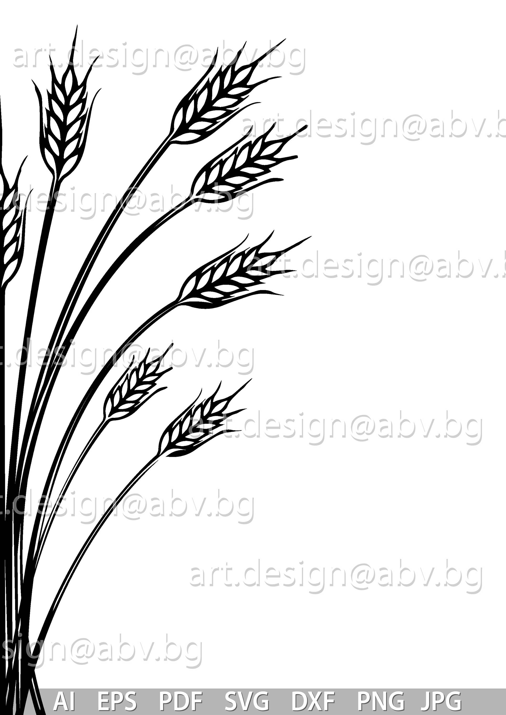Vector GRAIN GRADE Ai Eps Pdf SVG Dxf Png Jpg Download - Etsy UK