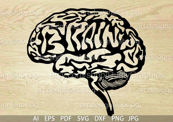 Hersenen Vector Ai