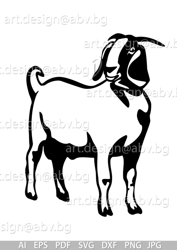 Boer Goat Vector