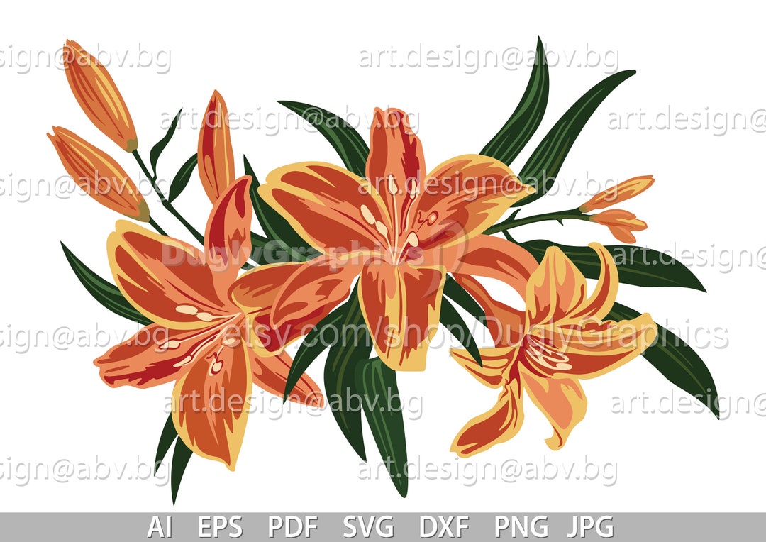 Vector STARGAZER FLOWERS, AI, Eps, Pdf, Svg, Dxf, Png, Jpg Download ...