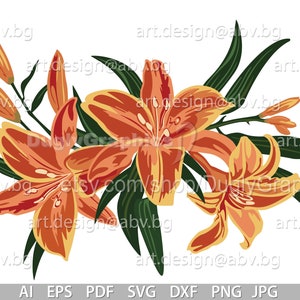 Vector STARGAZER FLOWERS, AI, Eps, Pdf, Svg, Dxf, Png, Jpg Download ...