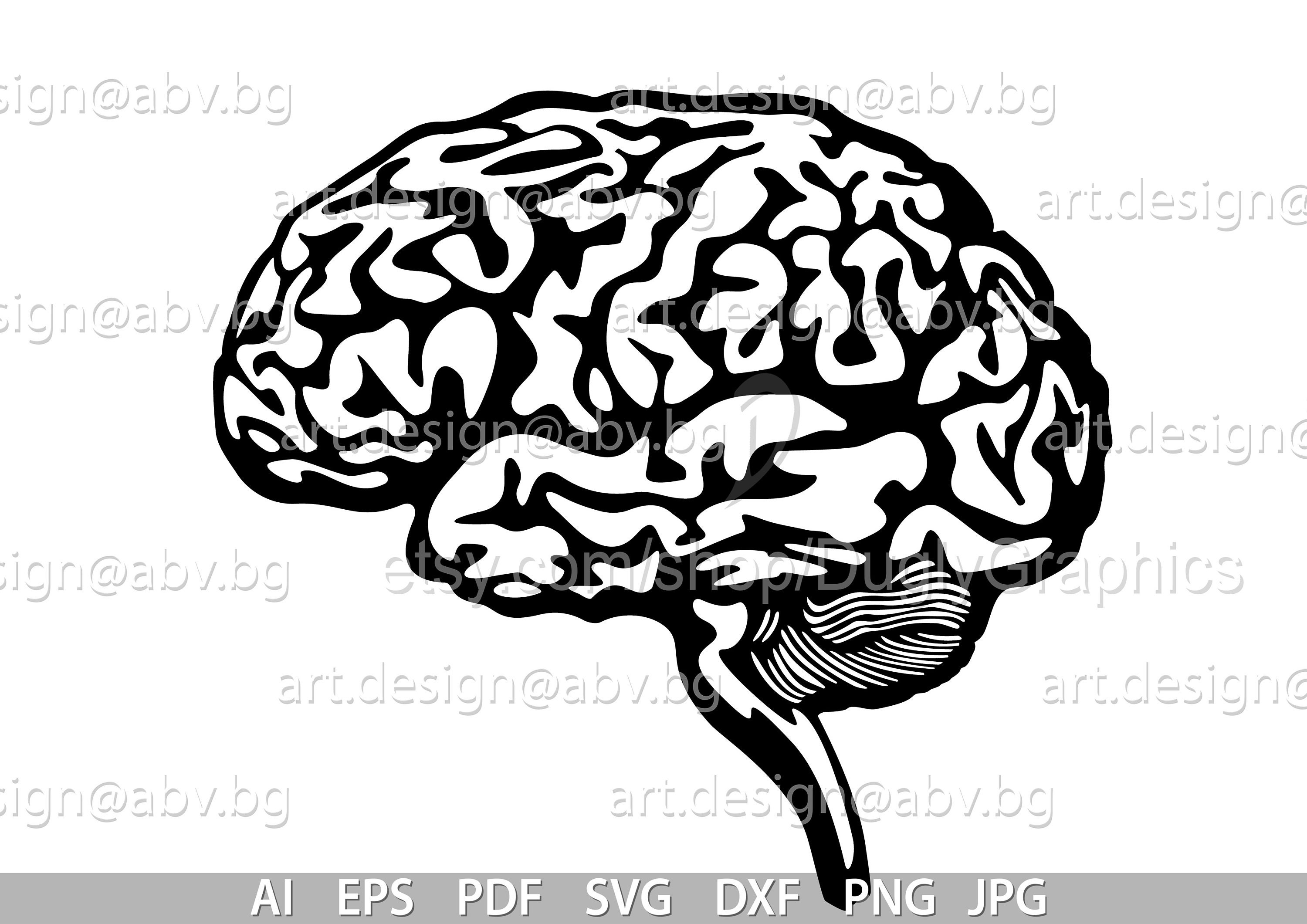 Vector BRAIN Human AI Png Eps Svg Dxf Pdf Jpg Download Files - Etsy Canada